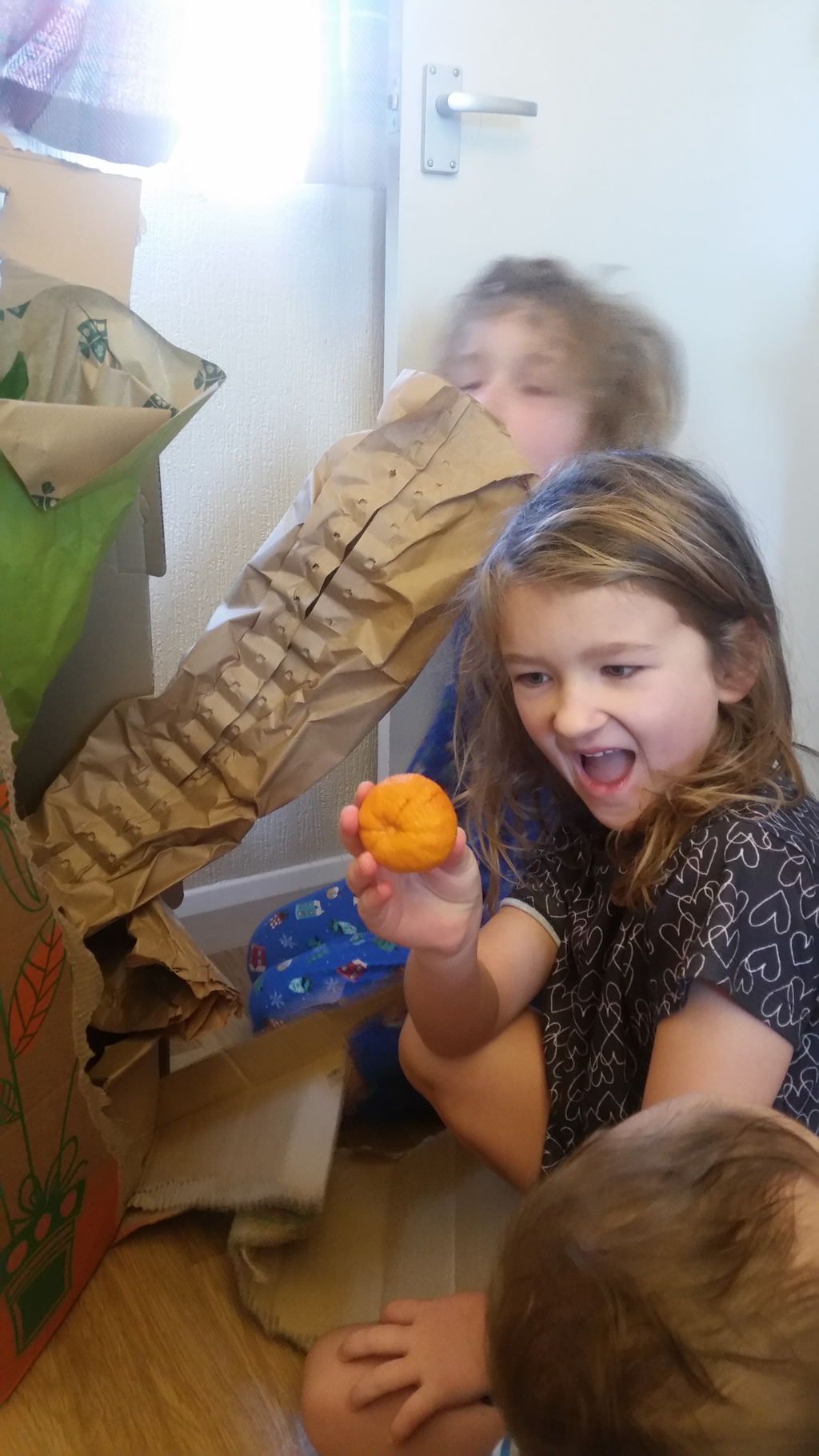 Large Clementine Trees | Next Day Delivery Available | Plants4Presents