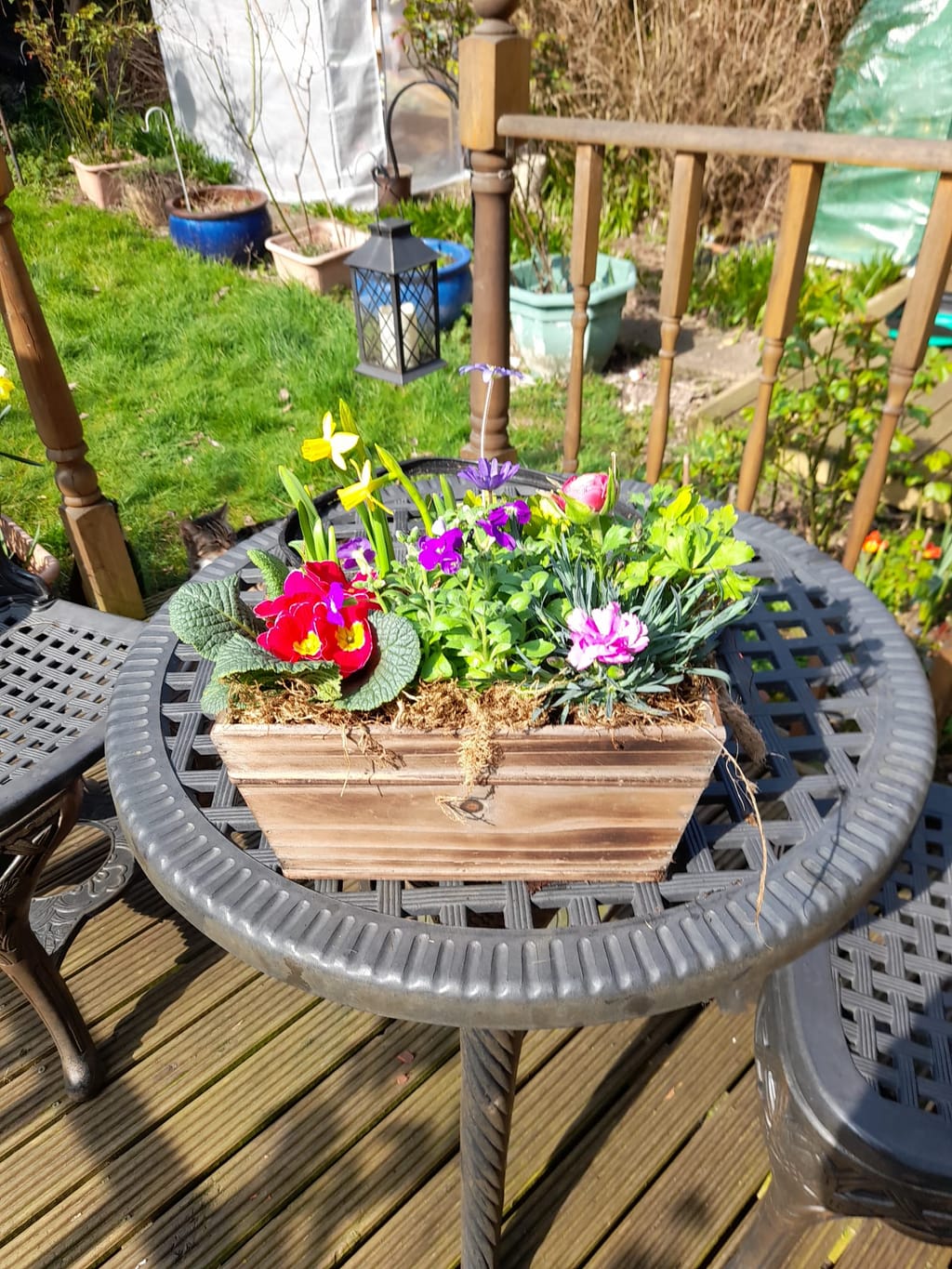 Winter Trough | Seasonal Flower Planters | Plants4Presents