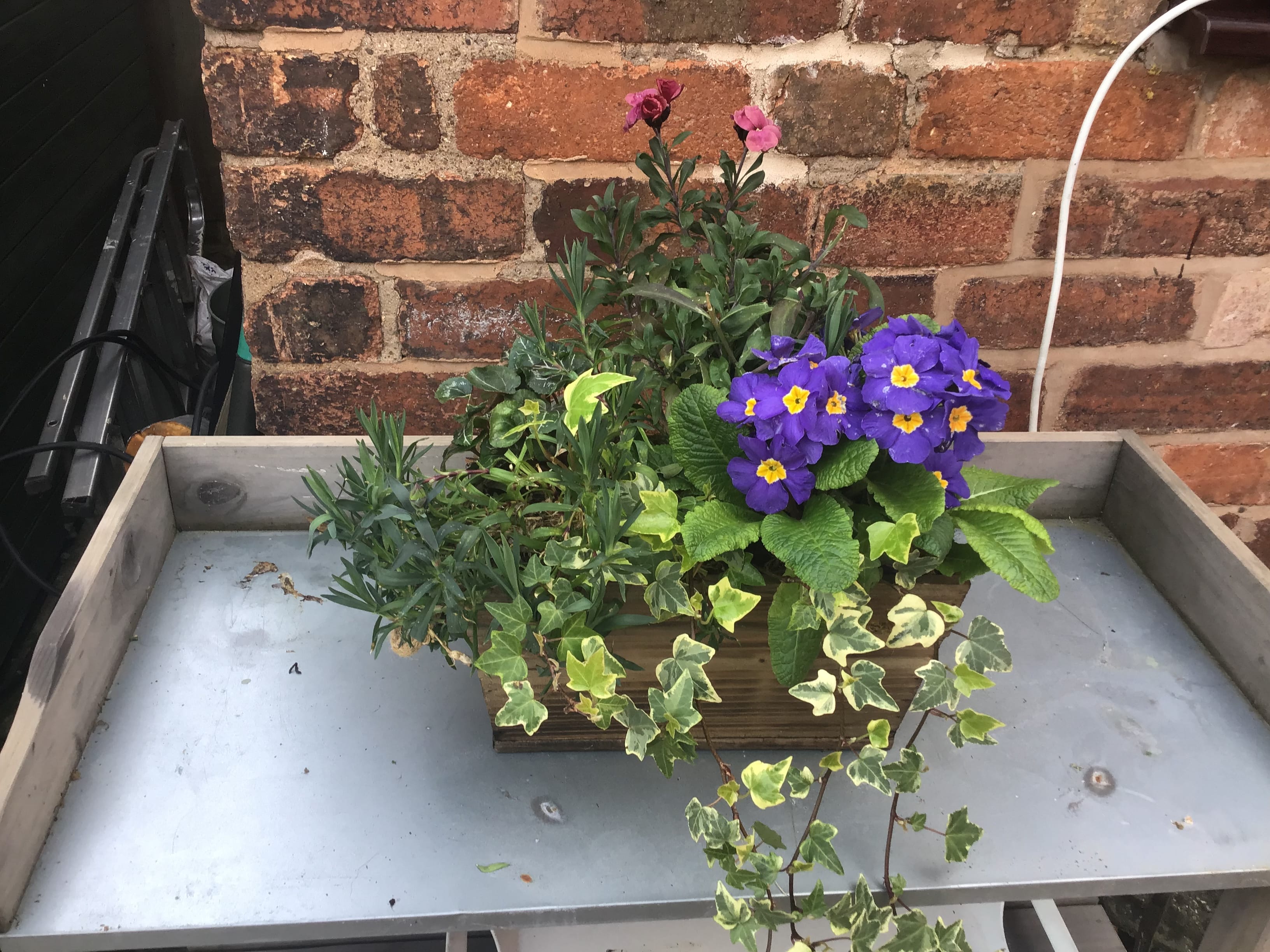 Summer Trough| Colourful seasonal flower planters delivered