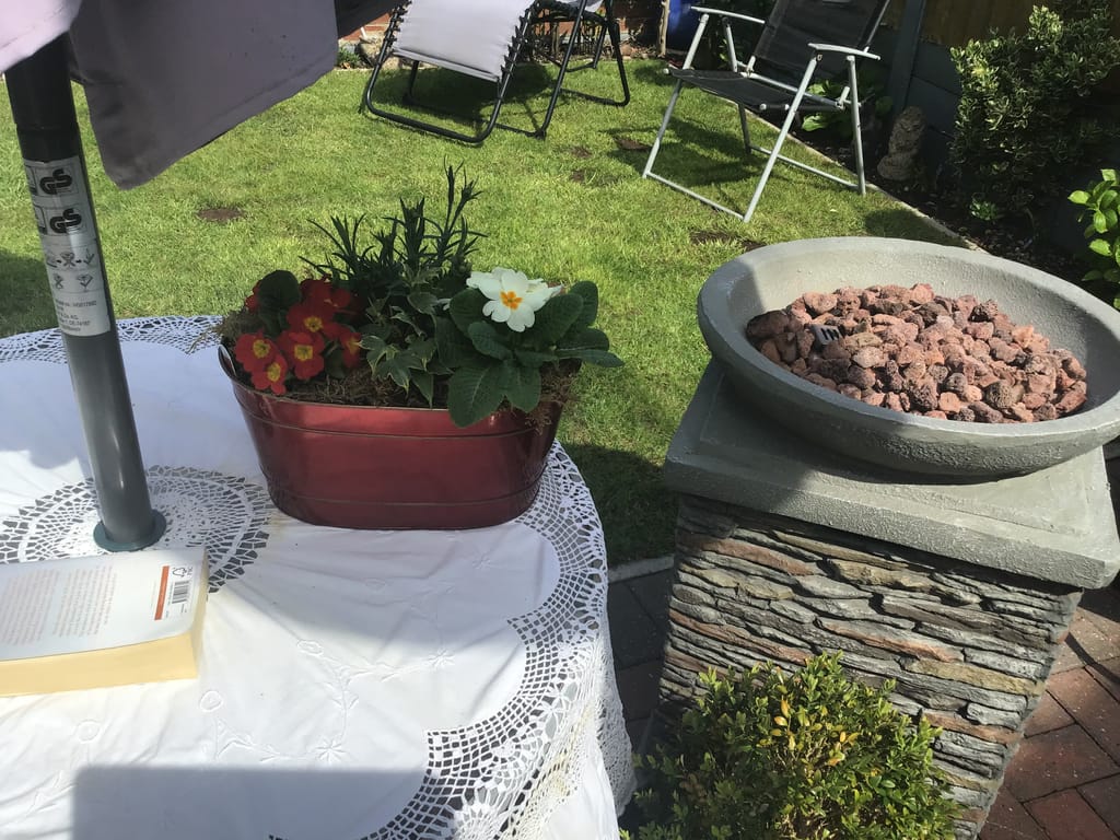 Winter Trough | Seasonal Flower Planters | Plants4Presents