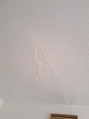 How To Apply Polycell Textured Ceiling Paint | Shelly Lighting