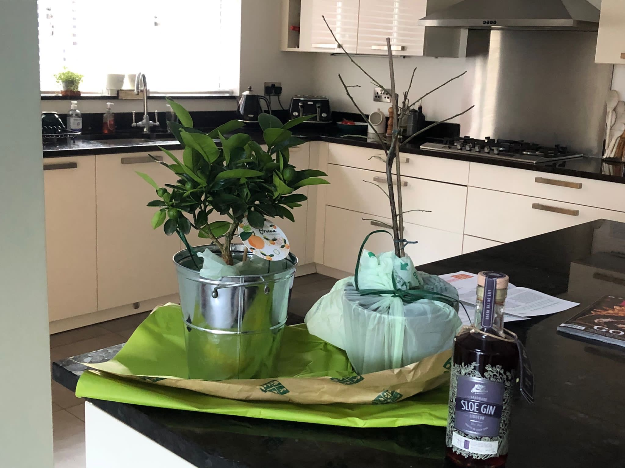 Sloe Gin Set | Unique plant gift sets for gin lovers, fast UK delivery