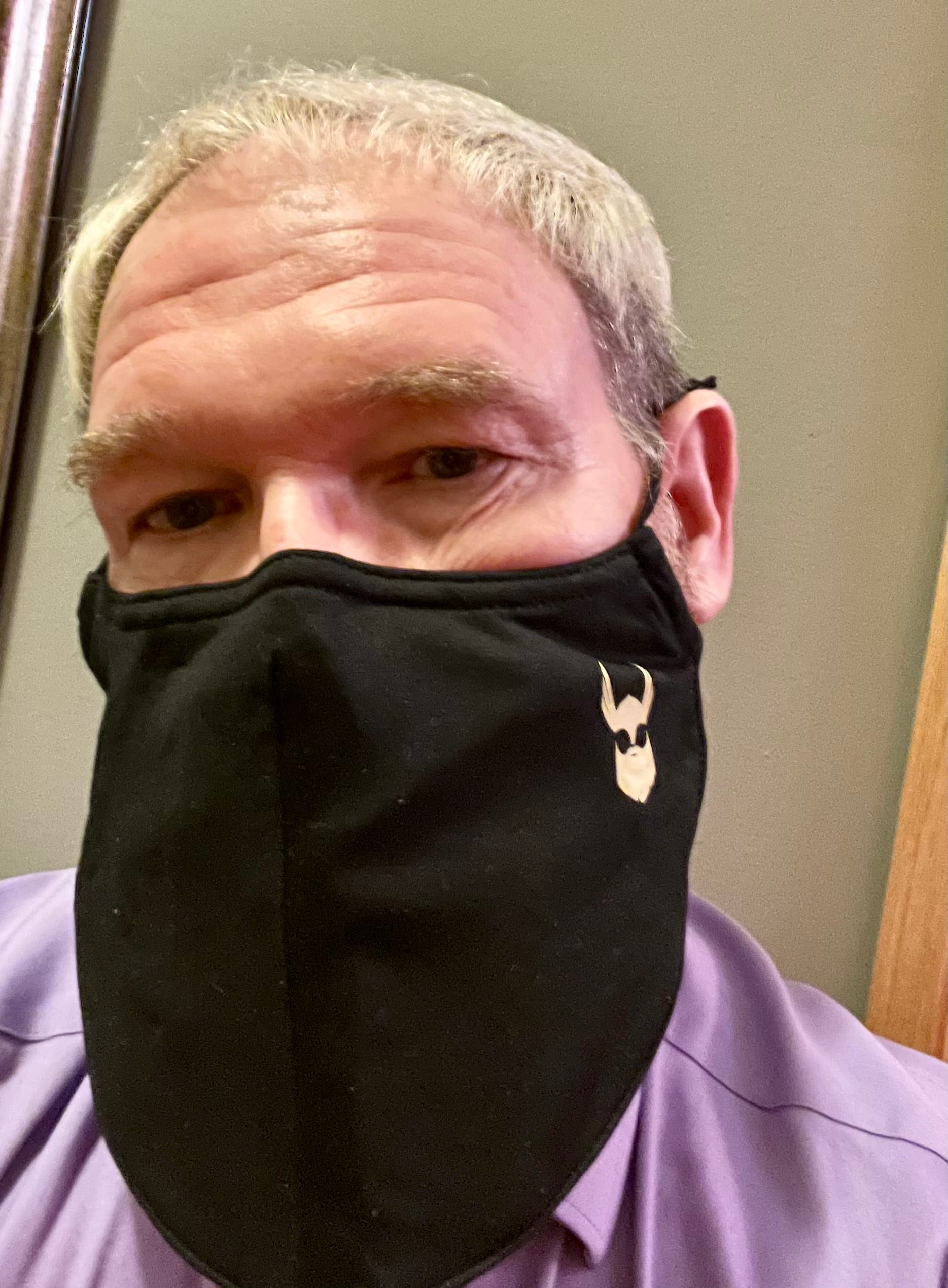 The Beard Defender Face Mask V2 • 1 Pack / Black | The Beard Struggle